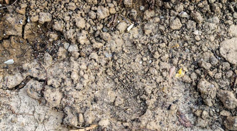 Types of Soil - Construction How