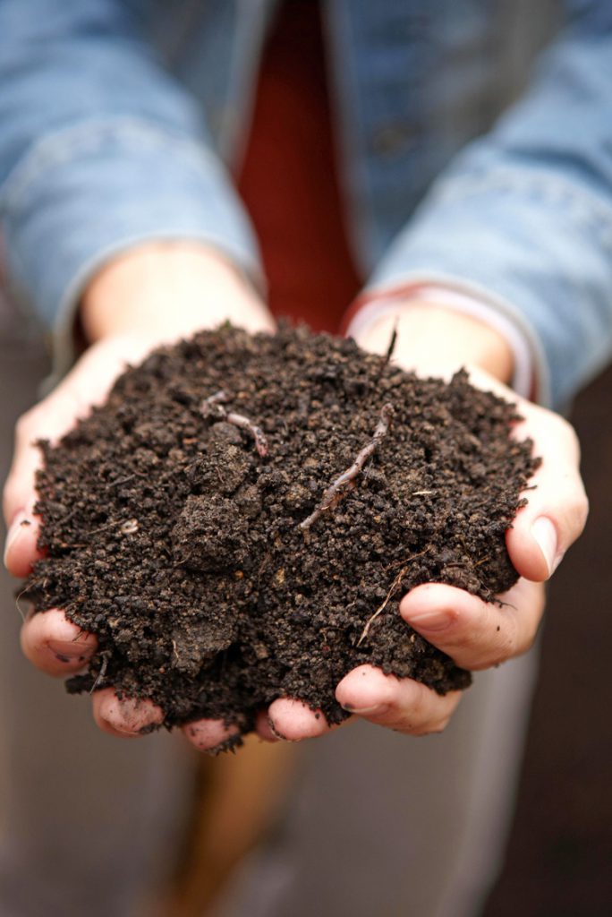 Types of Soil - Construction How