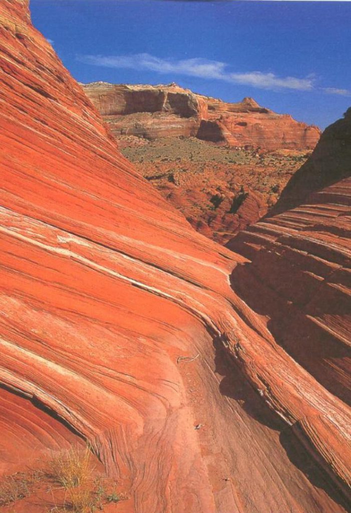 Soil Formation and Types of Soil - Construction How