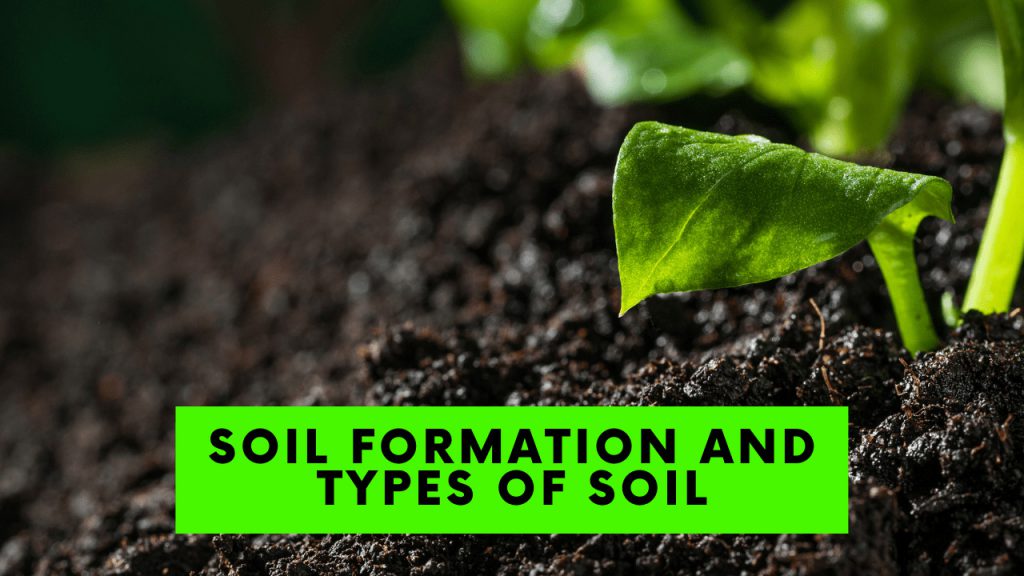What Is Soil Layers Of Soil Formation Of Soil Types And Uses Of – eroppa What Is Soil Layers Of Soil Formation Of Soil Types And Uses Of – eroppa
