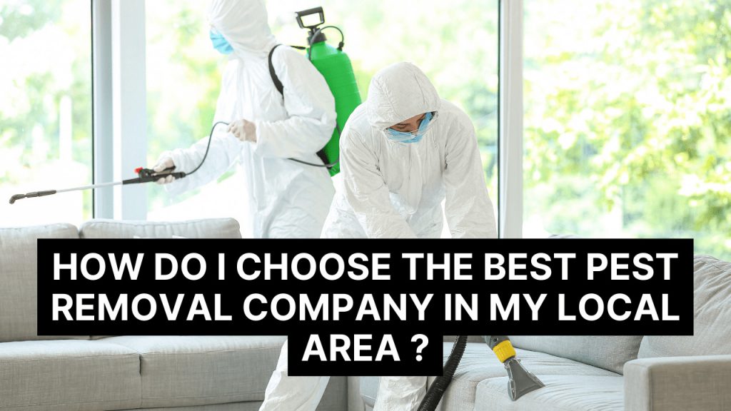 How Do I Choose the Best Pest Removal Company in My Local Area ...
