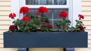 How To Hang A Window Box Without Drilling - Construction How