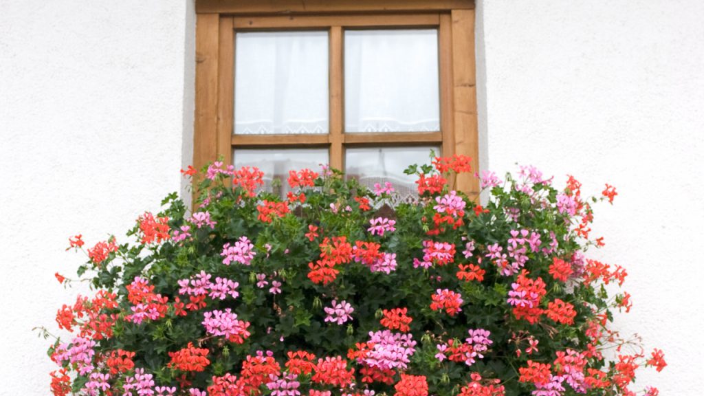 How To Hang A Window Box Without Drilling - Construction How