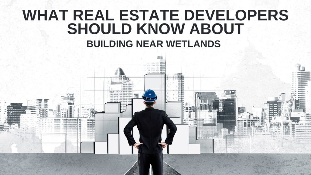 What Real Estate Developers Should Know About Building Near Wetlands ...