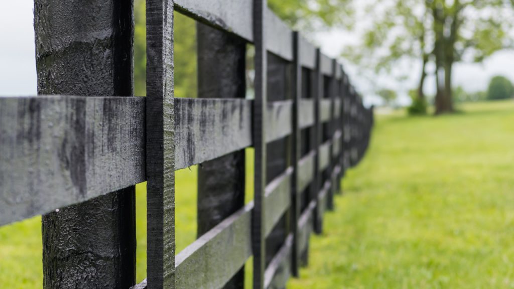Locust Fence Posts: Things You Need To Know About It - Construction How