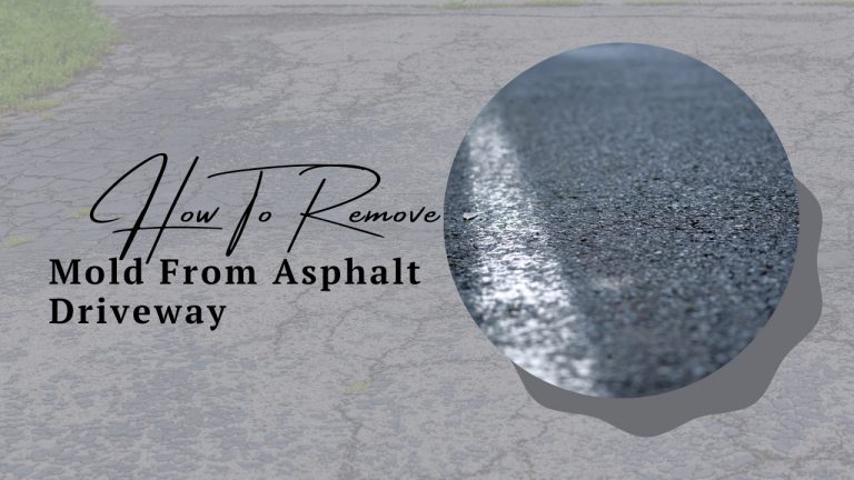 How To Remove Mold From Asphalt Driveway - Construction How