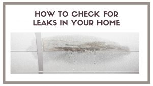 How to Check for Leaks in Your Home - Construction How