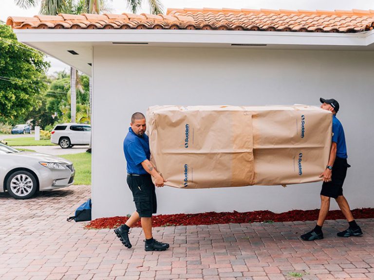 How Professional Removals make Moving Hassle Free - Construction How