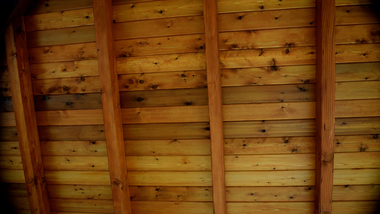 From Rustic to Modern: Embracing the Elegance of Rafter Ceilings ...