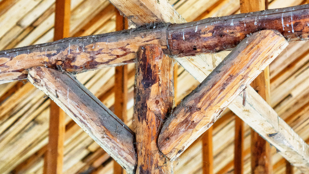 From Rustic to Modern: Embracing the Elegance of Rafter Ceilings ...