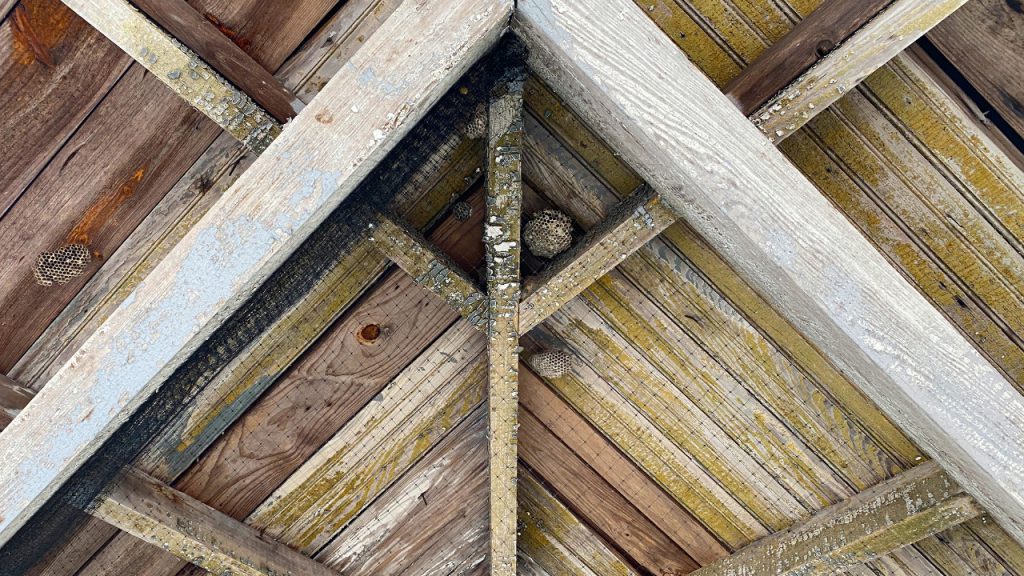 Rafter Ceilings and Their Advantages - Construction How