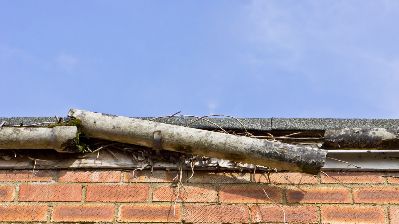 An Ultimate Guide to Roof Fascia Purpose, Material, Damage, Replacement ...
