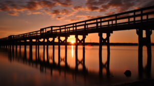 Types of Bridge Piers in Construction - Foundation Strength!