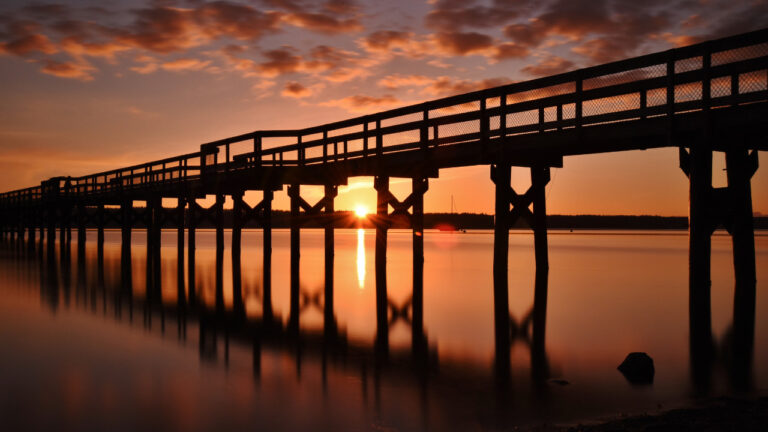 Types of Bridge Piers in Construction - Foundation Strength!